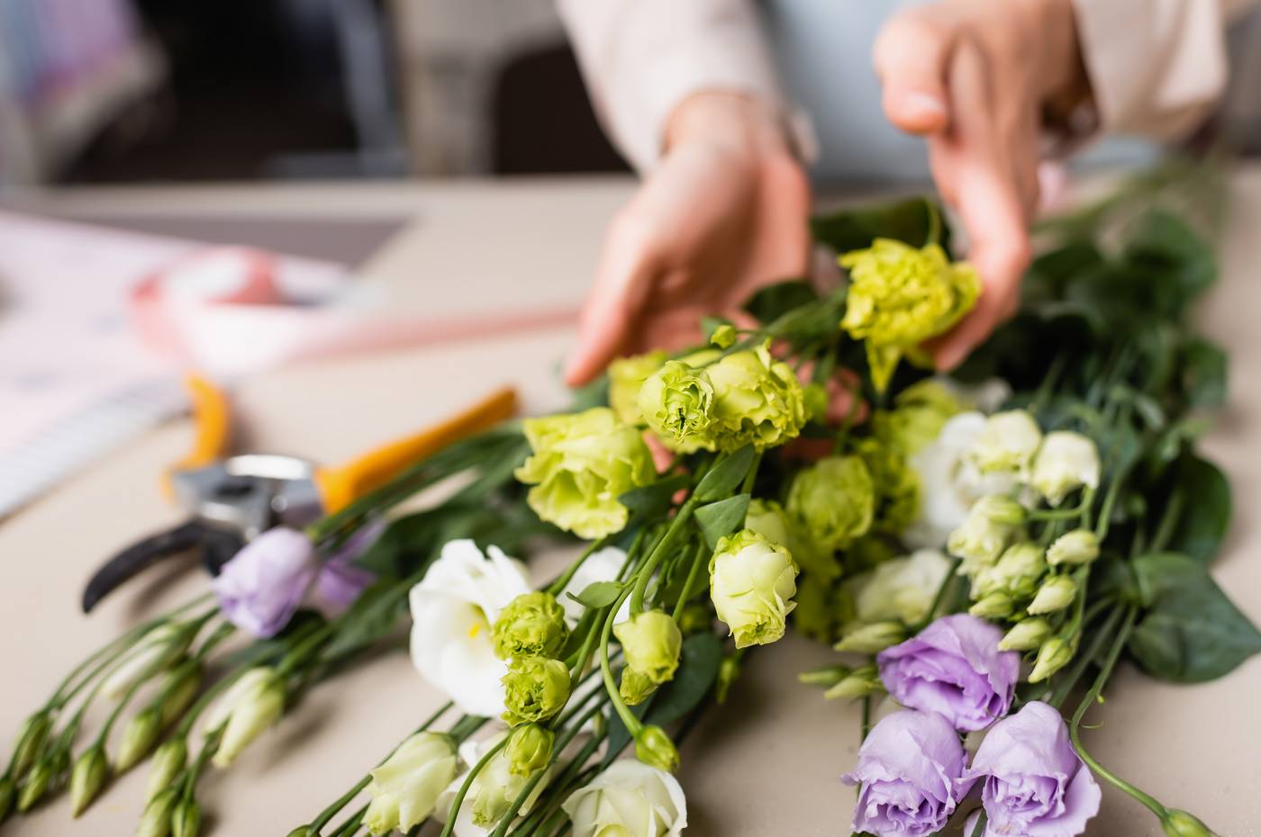 Early Bird Local Pre-book